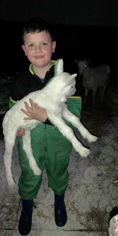 Home School Gallery...Sean Og's Farming Life!